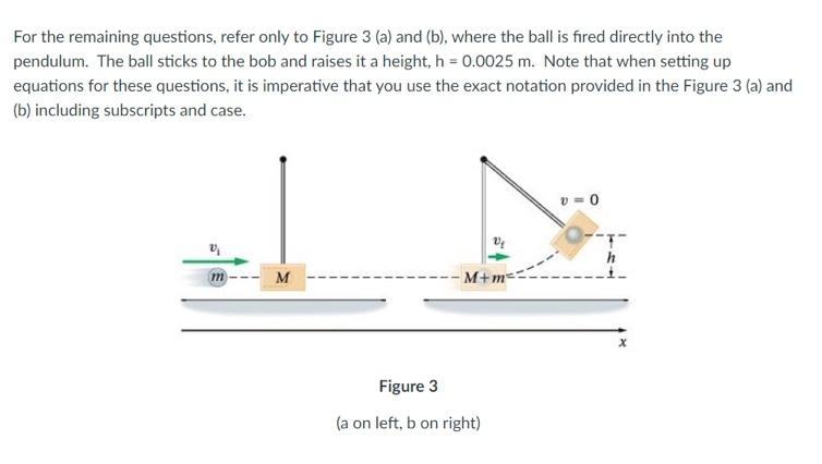 Solved Consider the collision between the ball and the | Chegg.com