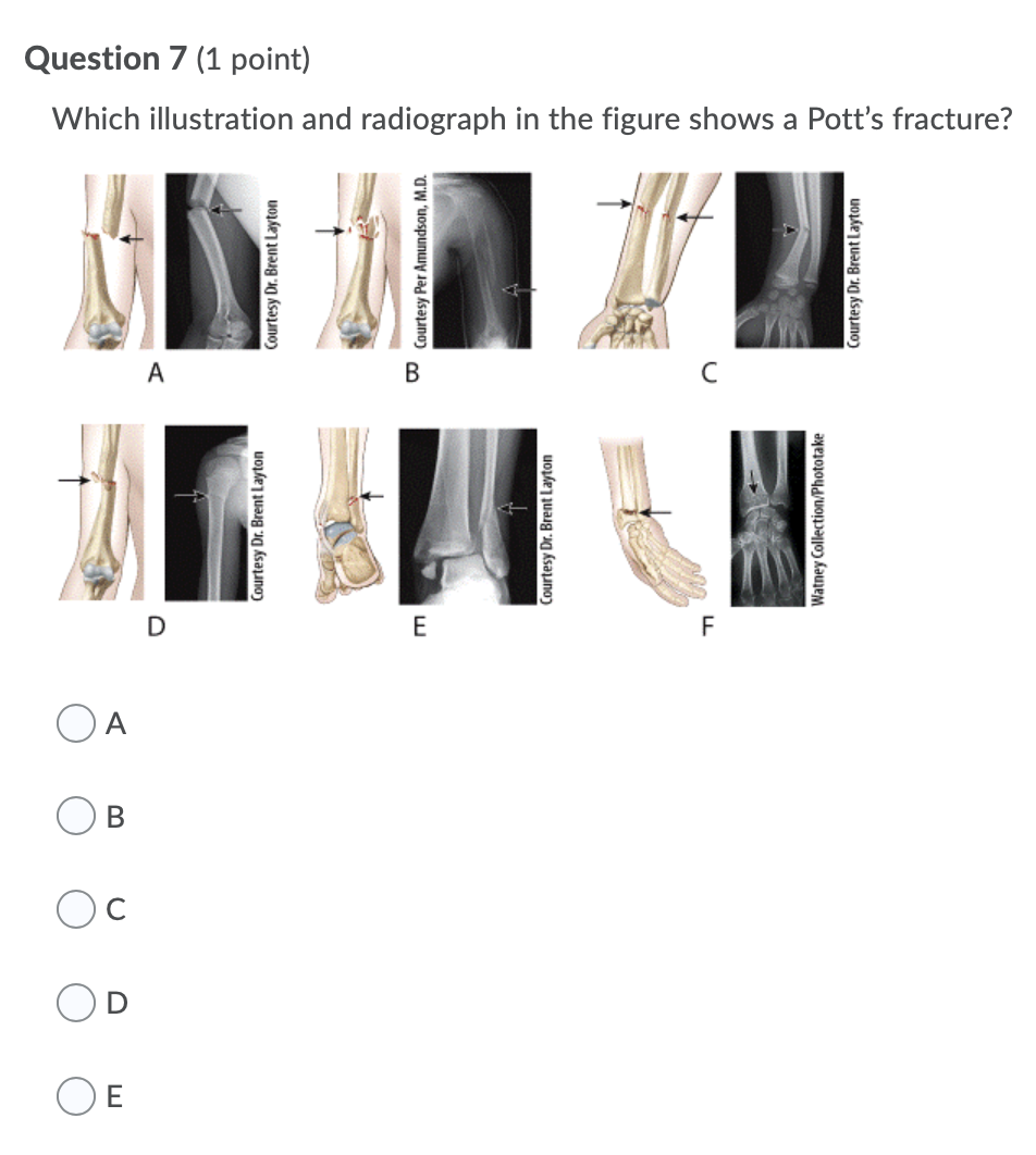 Solved D U B A D А Courtesy Dr. Brent Layton Courtesy Dr. | Chegg.com