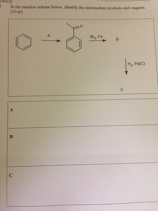 Solved In the reaction scheme below, identify the | Chegg.com