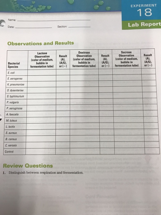 Solved EXPERIMENT 1 8 Name: Lab Report Section: Observations | Chegg.com
