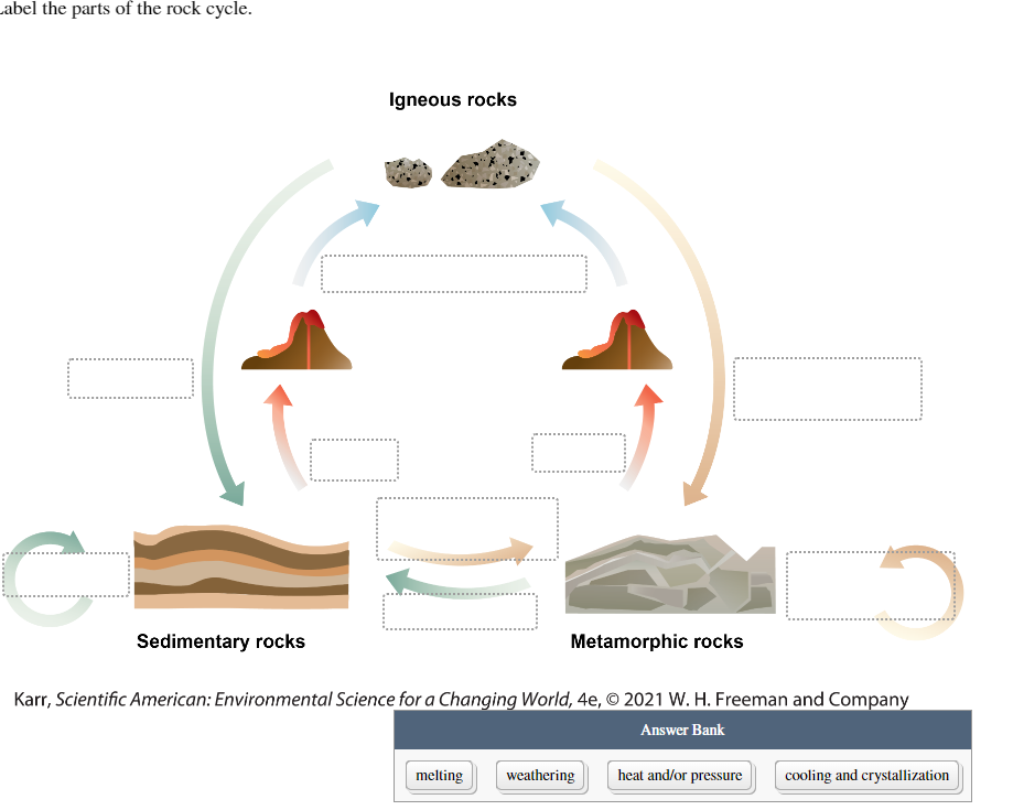 abel the parts of the rock cycle. Igneous rocks | Chegg.com