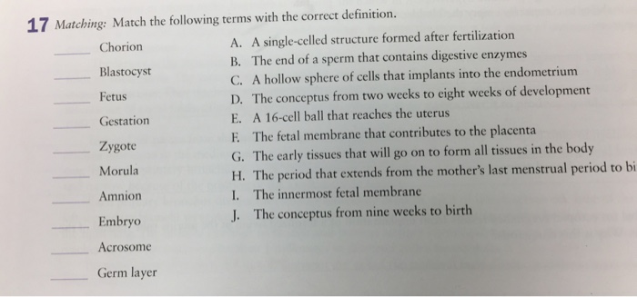 Solved Match the following terms with the correct | Chegg.com