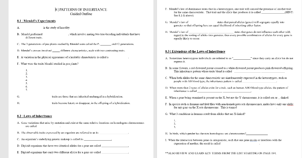Solved 8 PATTERNS OF INHERITANCE Guided Outline 8.1 Mendel's | Chegg.com