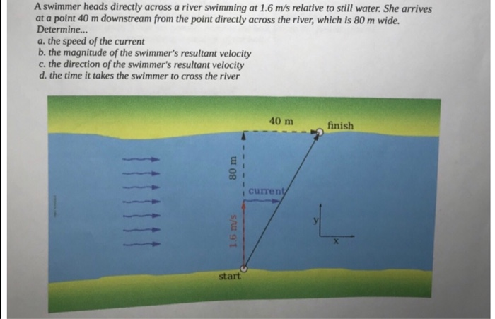 Solved A swimmer heads directly across a river swimming at | Chegg.com
