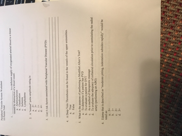 Solved Peripheral Vascular System Worksheet 10 Points Total | Chegg.com