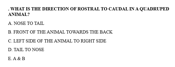 Solved . WHAT IS THE DIRECTION OF ROSTRAL TO CAUDAL IN A | Chegg.com