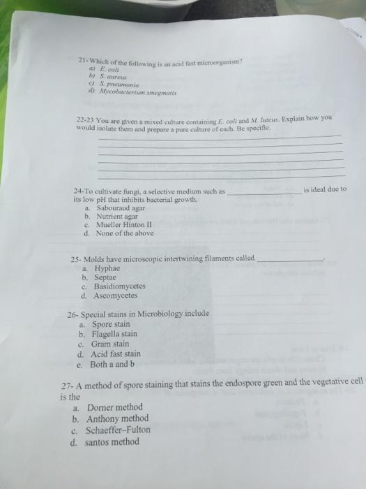 Solved 21- Which of the following is an acid fast | Chegg.com