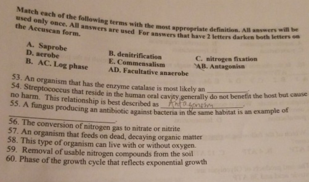 Solved Match each of the following terms with the most | Chegg.com