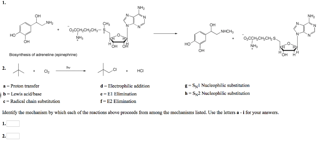 Solved NH2 NHCH3 он NH3 он Biosynthesis of adreneline | Chegg.com