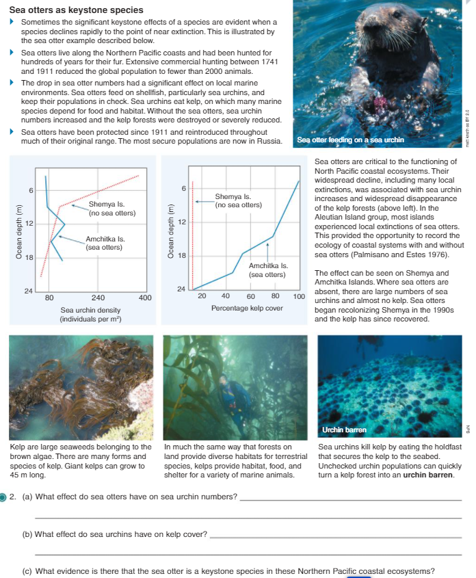 Solved makroth BY 2.0 Sea otters as keystone species | Chegg.com