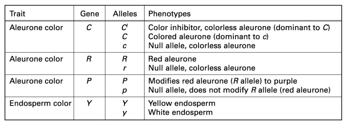 Solved Trait Gene Alleles Aleurone color с с C Phenotypes | Chegg.com