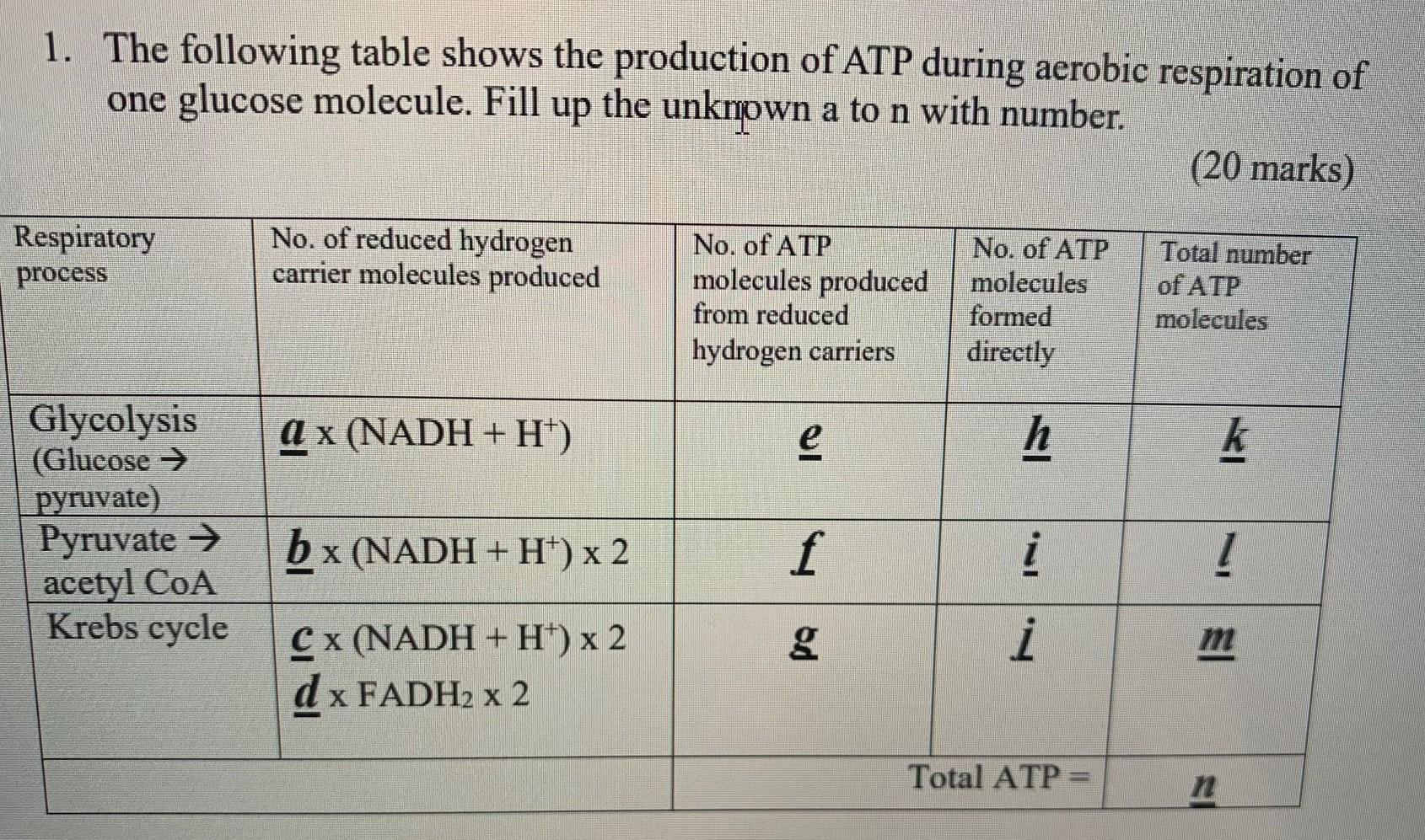 Solved 1. The following table shows the production of ATP | Chegg.com