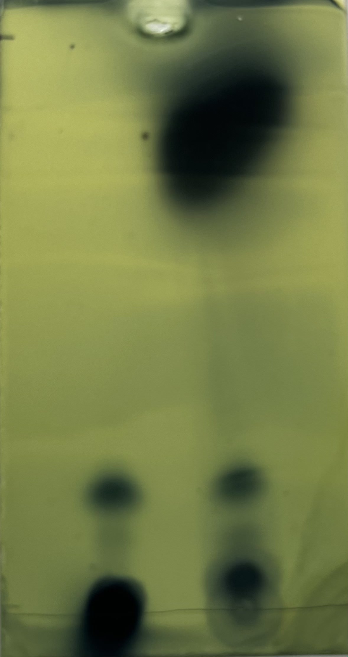Solved Samples of 2,5-dimethyl-2,5-hexanediol and | Chegg.com