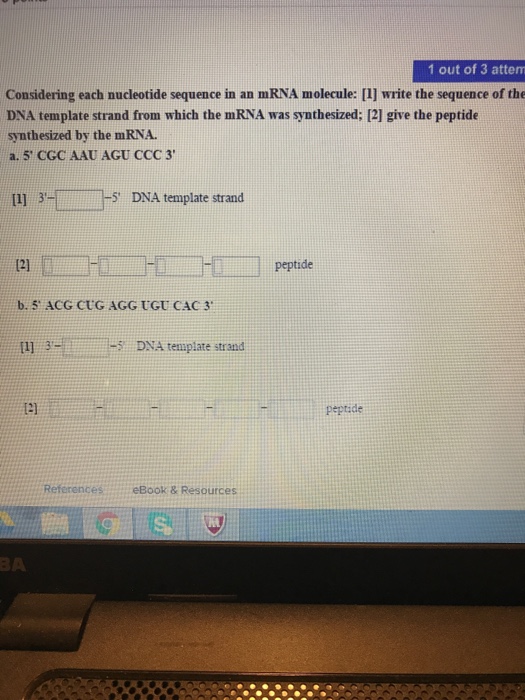 Solved Considering each nucleotide sequence in an mRNA | Chegg.com