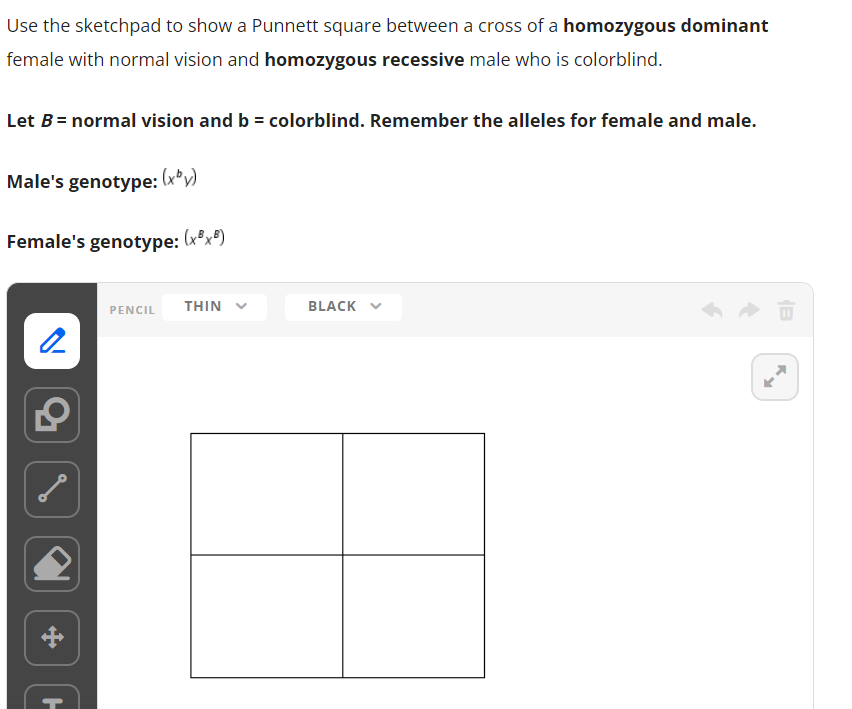 Solved Use the sketchpad to show a Punnett square between a | Chegg.com