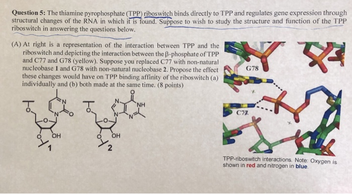 Question 5: The thiamine pyrophosphate (TPP) | Chegg.com