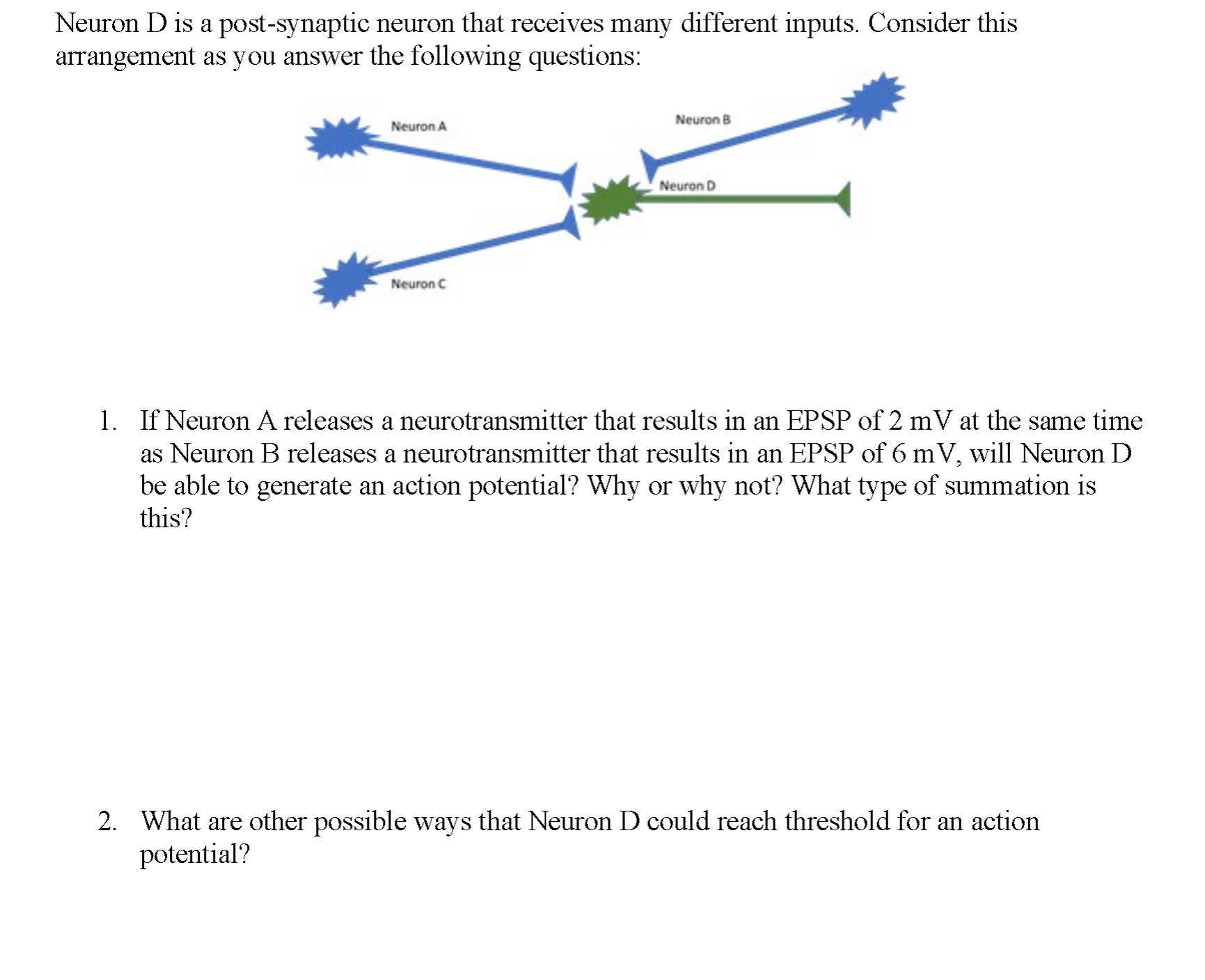 Solved 1. If Neuron A releases a neurotransmitter that | Chegg.com