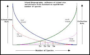 Solved Use the info in the graph, what do you know about S1, | Chegg.com