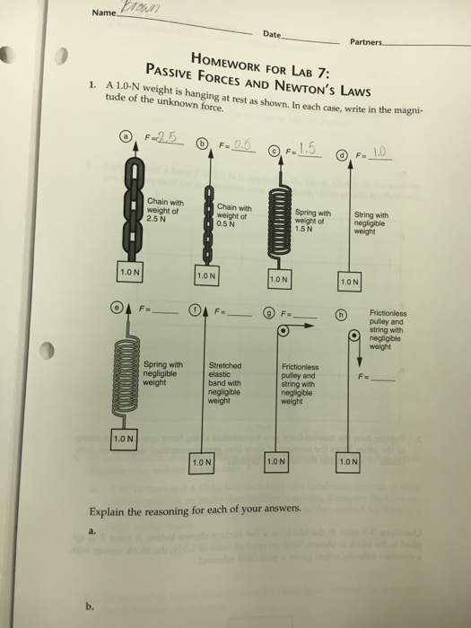 Solved Name Partners 1. A 1.0-N PASSIVE FORCES FOR LAws tude | Chegg.com