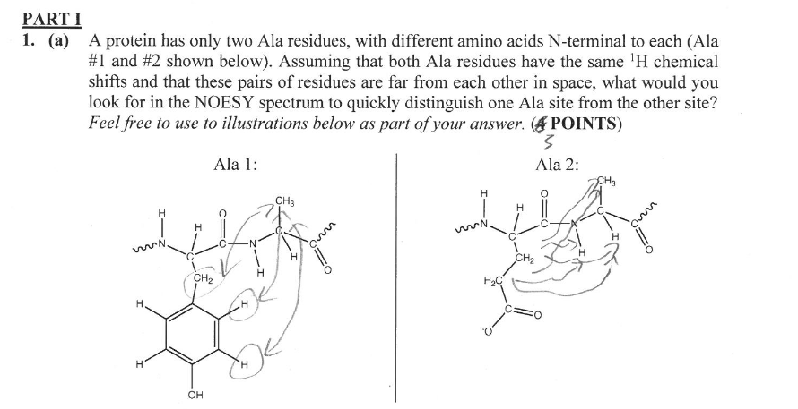 Solved (a) A protein has only two Ala residues, with | Chegg.com