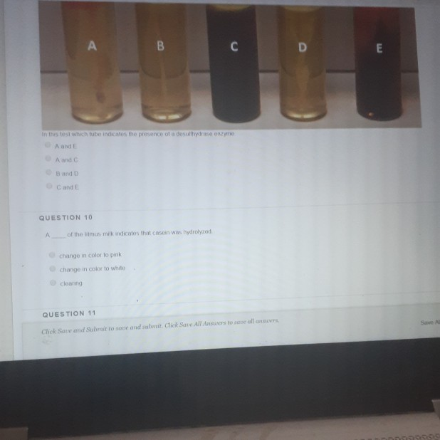 Solved In this lost which tube indicates the presence of a | Chegg.com