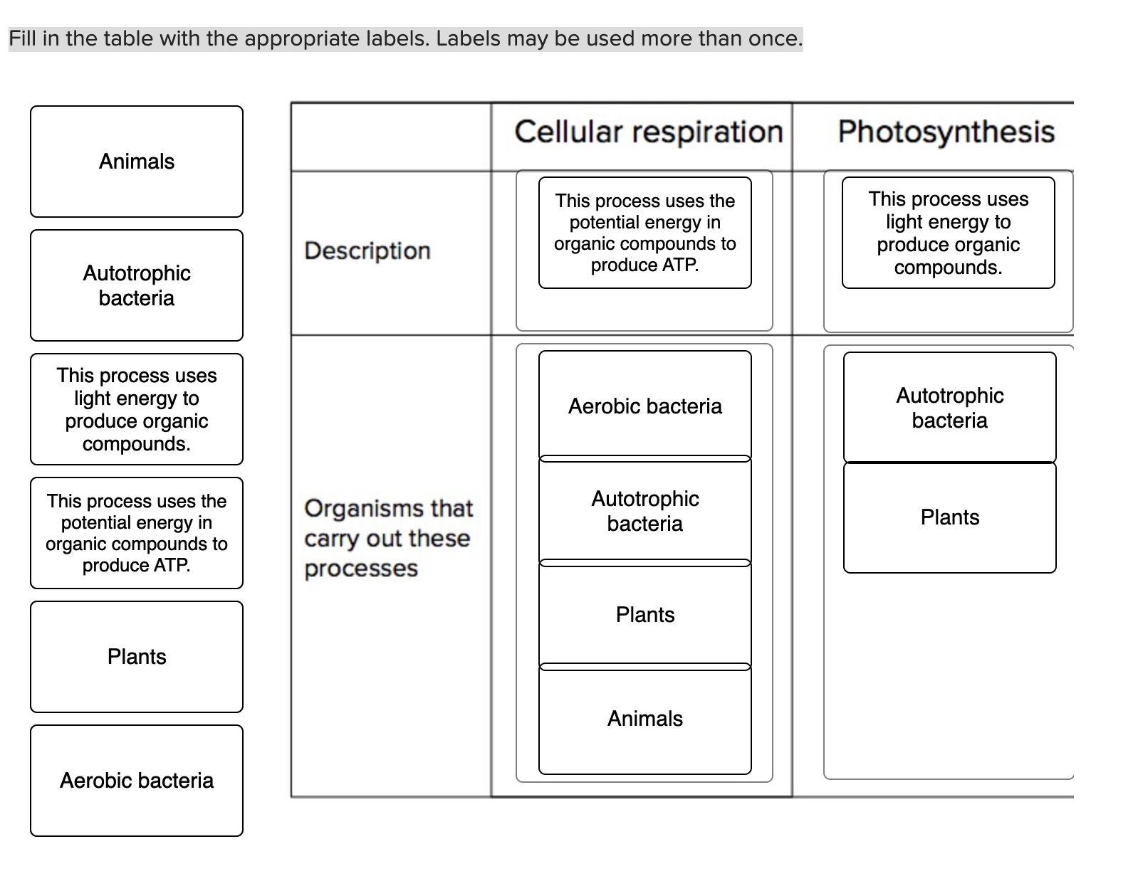 Solved Fill in the table with the appropriate labels. Labels | Chegg.com
