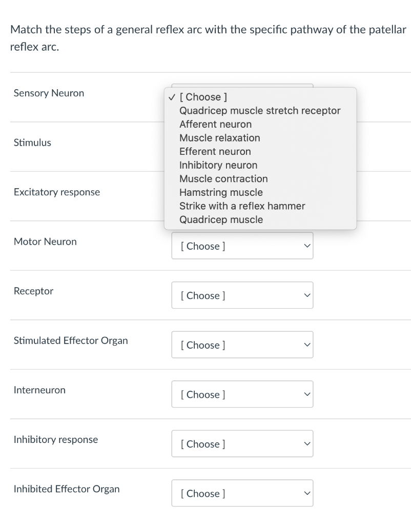 Solved Match the steps of a general reflex arc with the | Chegg.com