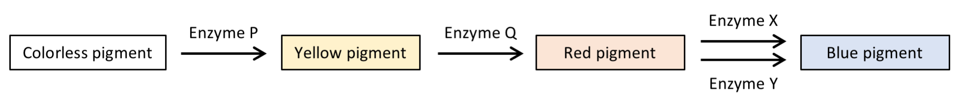 Solved 7. Consider the pathway shown below, for synthesis of | Chegg.com