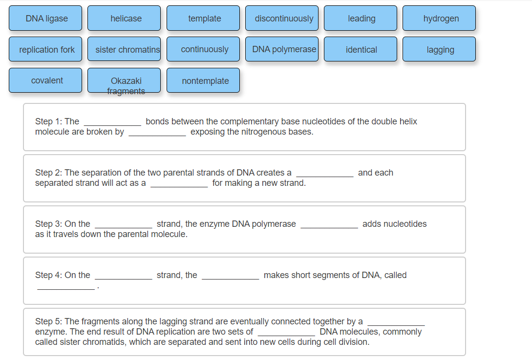 Solved DNA ligase helicase template discontinuously leading | Chegg.com
