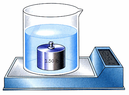 Solved A beaker of fresh water is in place on the scale | Chegg.com