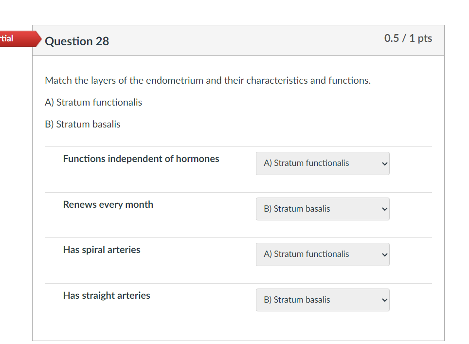 Solved Match the layers of the endometrium and their | Chegg.com