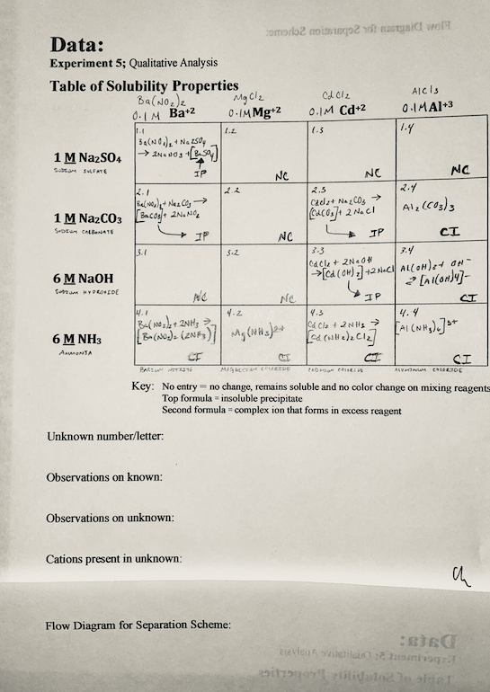 Data: Experiment 5; Qualitative Analysis Table of So | Chegg.com