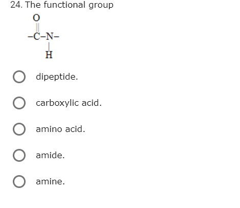 Solved 24. The functional group O -C-N- н dipeptide. | Chegg.com