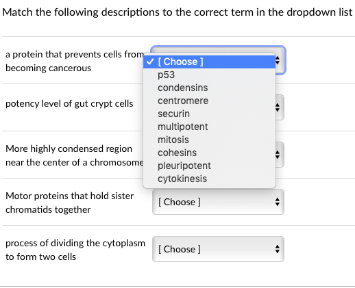 Solved Match the following descriptions to the correct term | Chegg.com