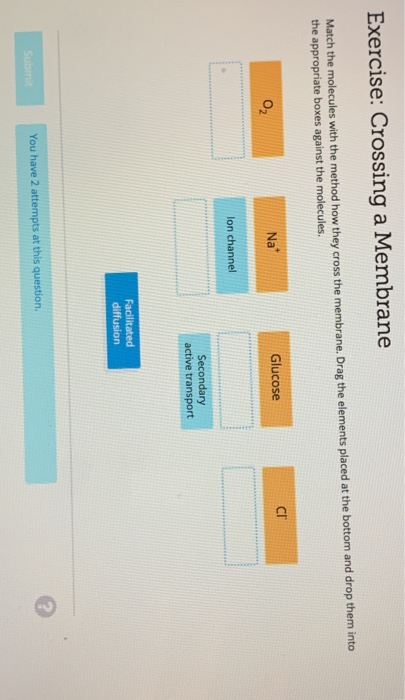 Exercise: Crossing a Membrane Match the molecules | Chegg.com