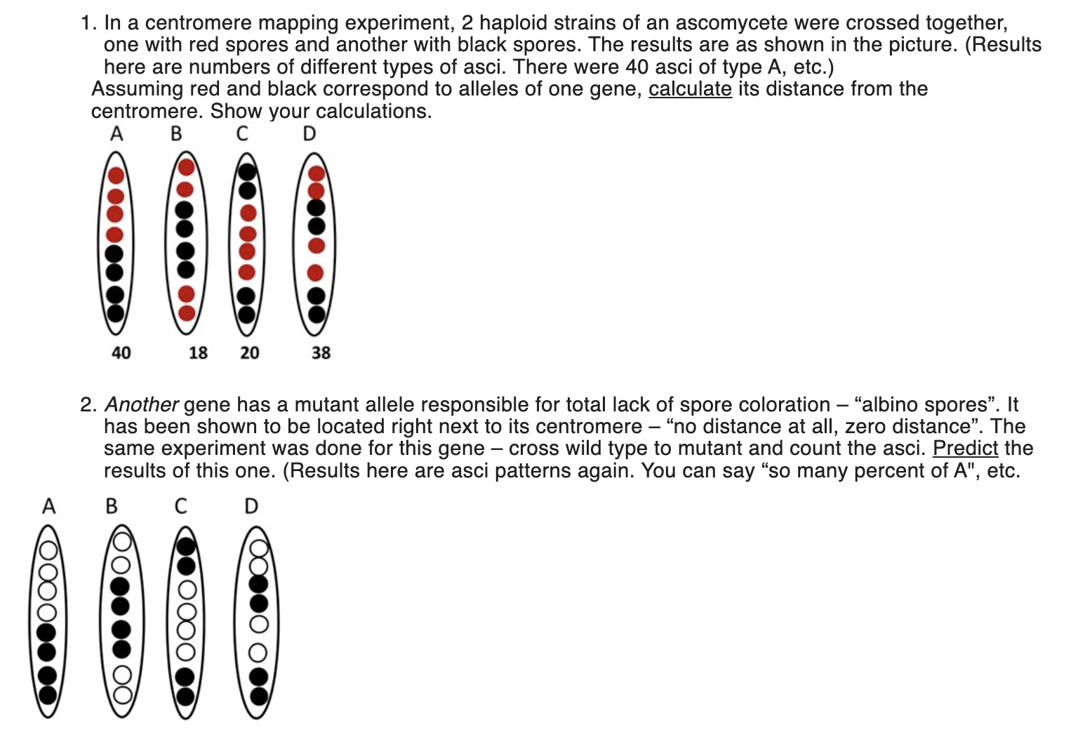 Solved In a centromere mapping experiment, 2 ﻿haploid | Chegg.com