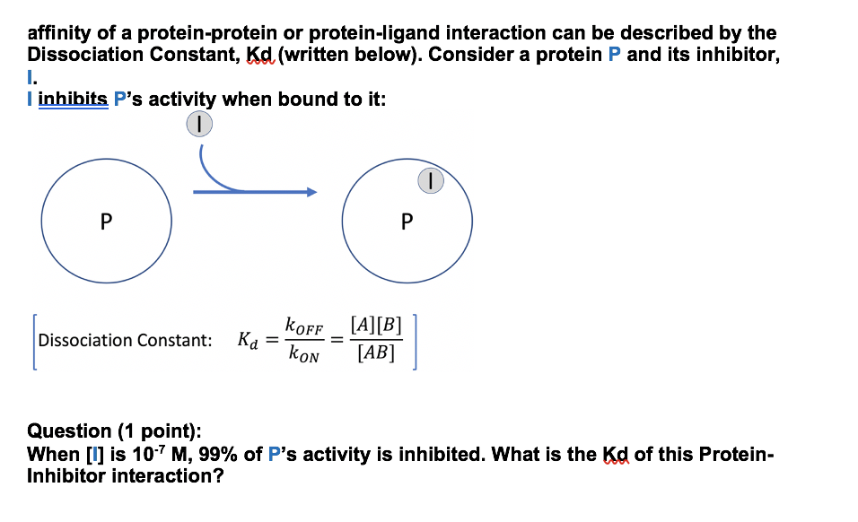 Solved affinity of a protein-protein or protein-ligand | Chegg.com