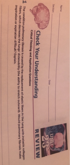 Solved Name UNIT Section Date Check Your Understanding | Chegg.com