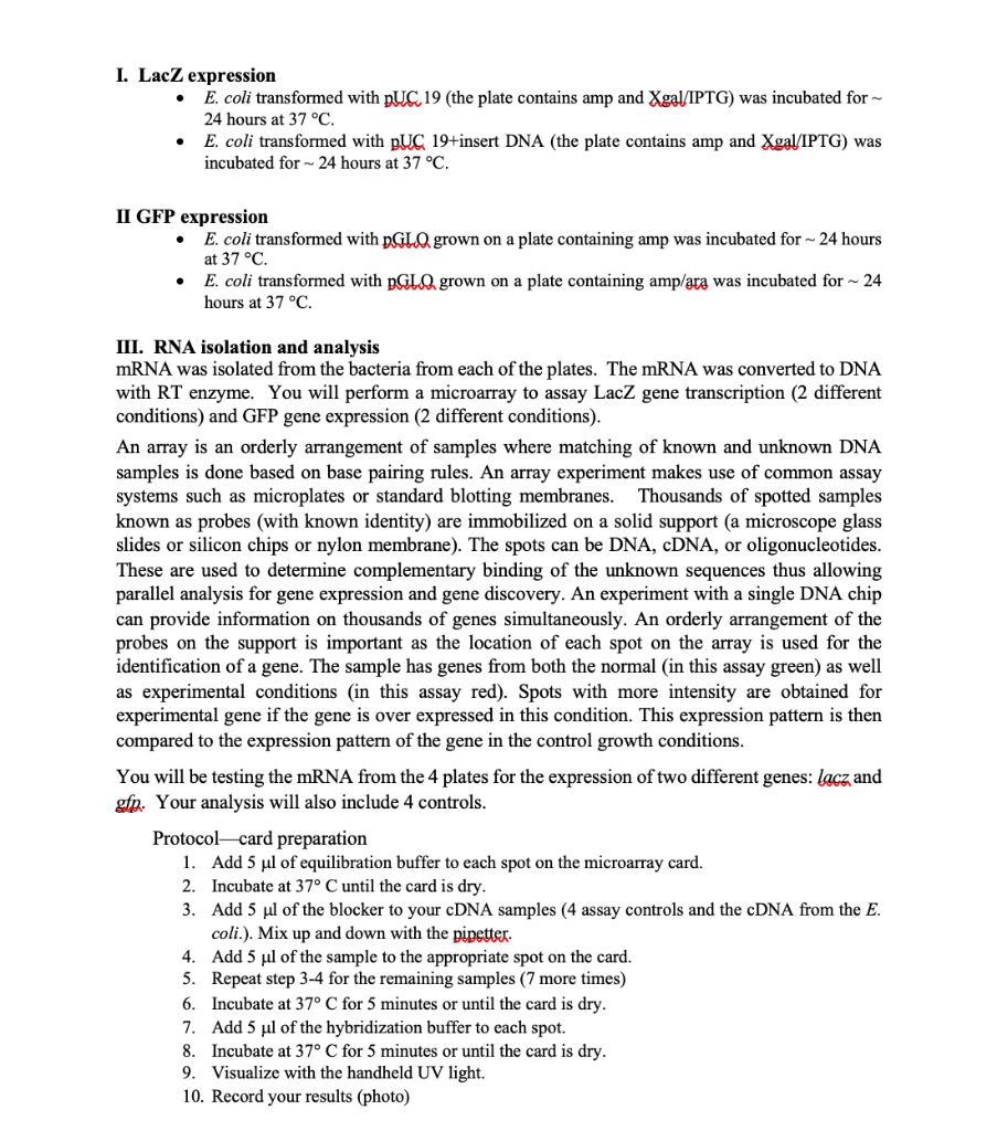 Lab: Differential Expression Differential gene | Chegg.com