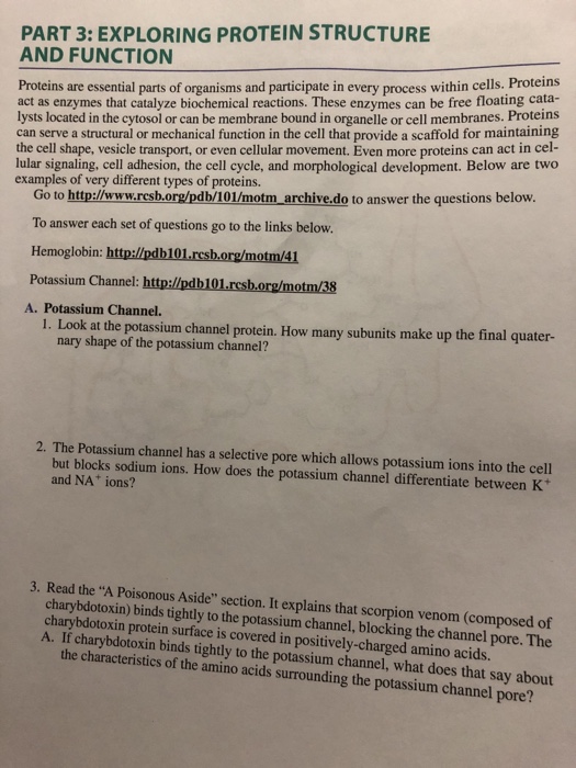 Solved PART 3: EXPLORING PROTEIN STRUCTURE AND FUNCTION | Chegg.com