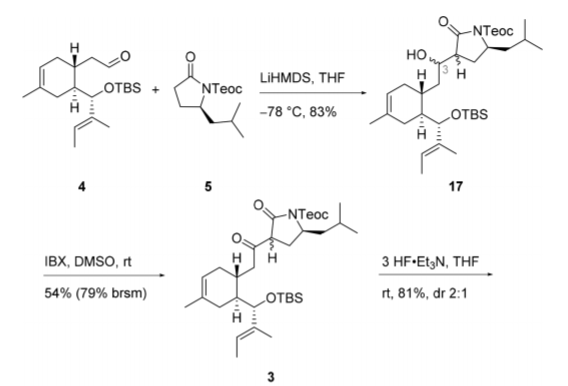 Solved Show the arrow pushing from compound 17 to compound 3 | Chegg.com