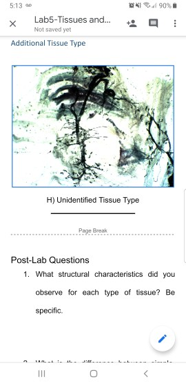 5:13 0 4 . 90% Lab5-Tissues and... e Not saved yet | Chegg.com