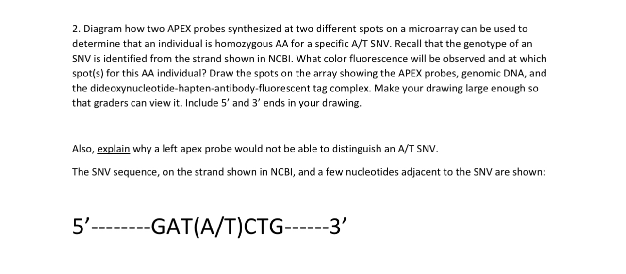 Solved Diagram how two APEX probes synthesized at two | Chegg.com