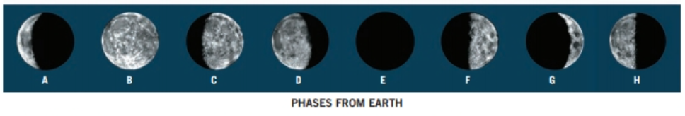 Solved 5. Match each of the eight lunar phase images | Chegg.com