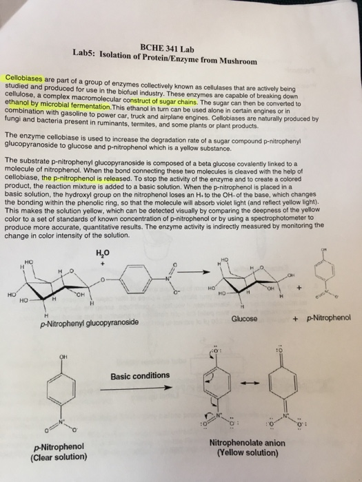 Solved Making of p-Nitrophenol standards: 1. 2. Solution S5 | Chegg.com