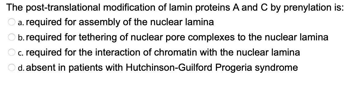Solved The post-translational modification of lamin proteins | Chegg.com