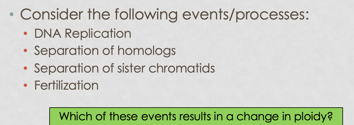 Solved Consider the following events/processes: • DNA | Chegg.com