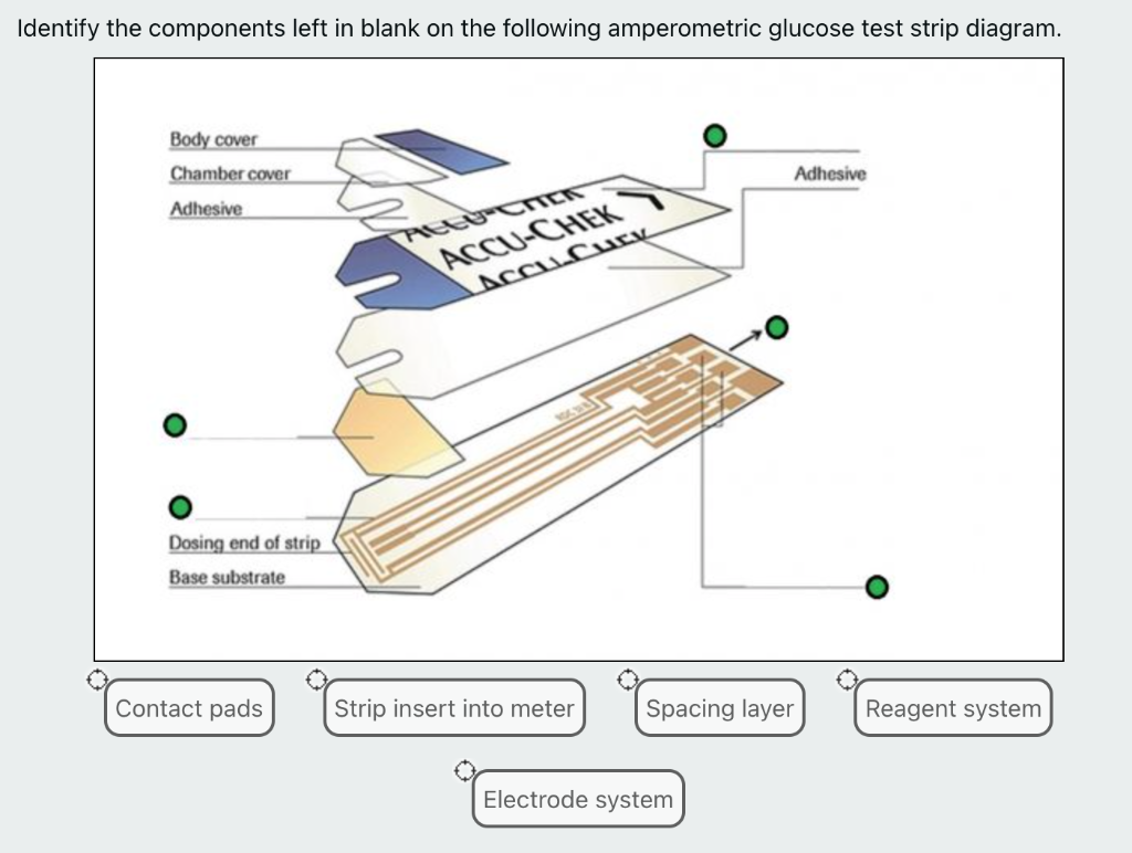 Solved Identify the components left in blank on the | Chegg.com