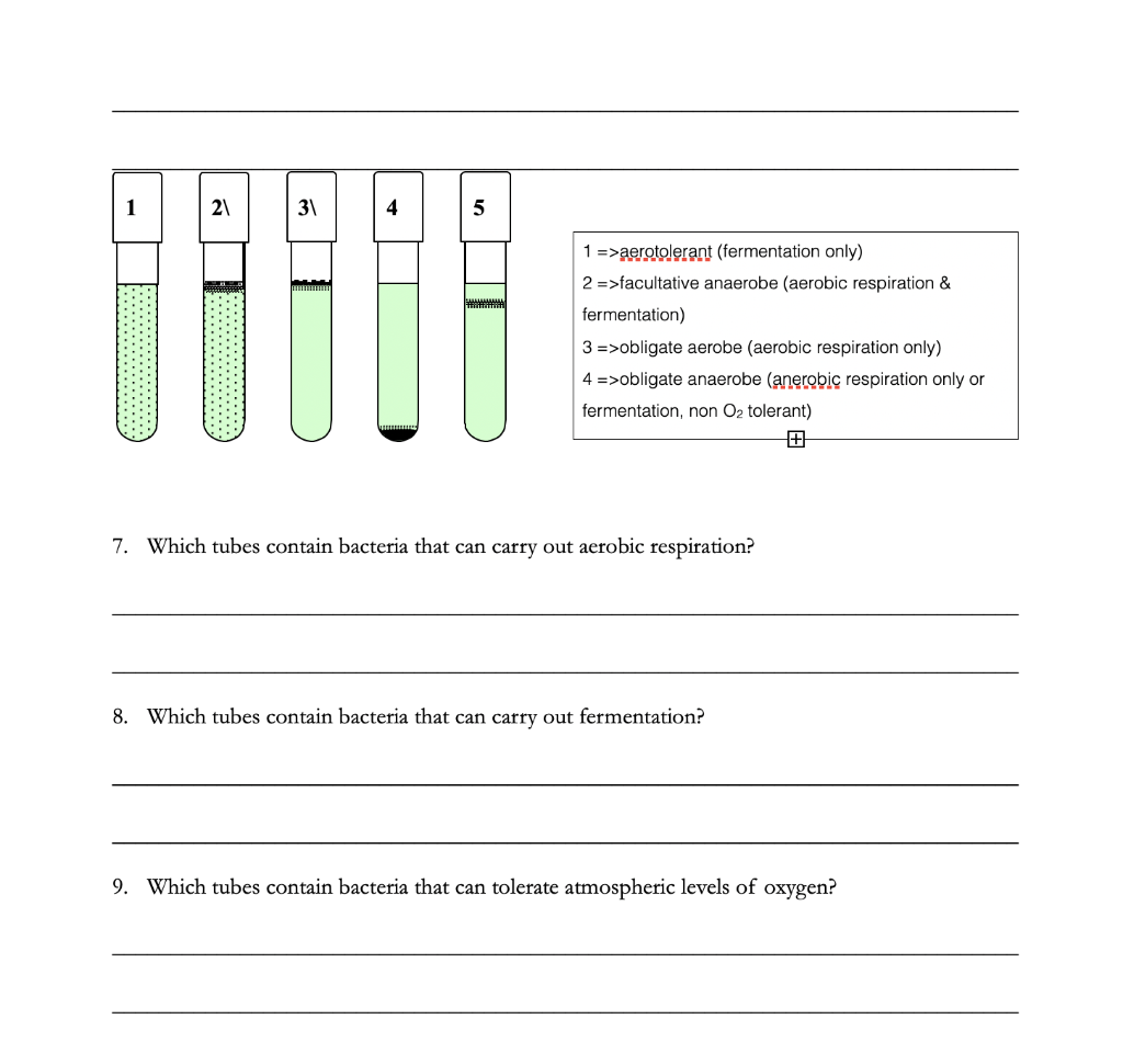Growth of Bacterial Cultures Bacterial multiplication | Chegg.com