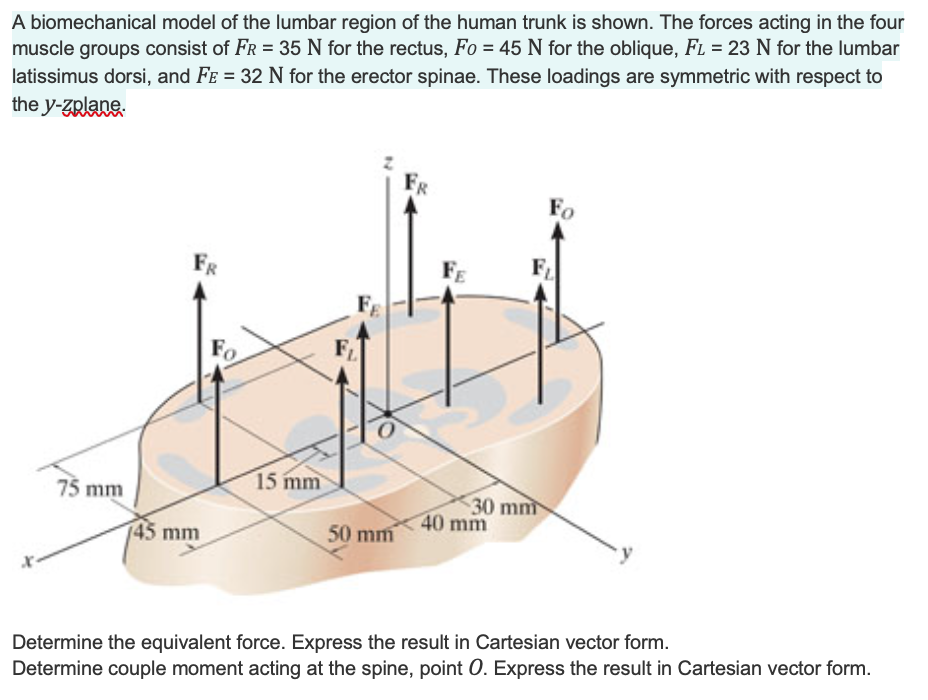 Solved A biomechanical model of the lumbar region of the | Chegg.com